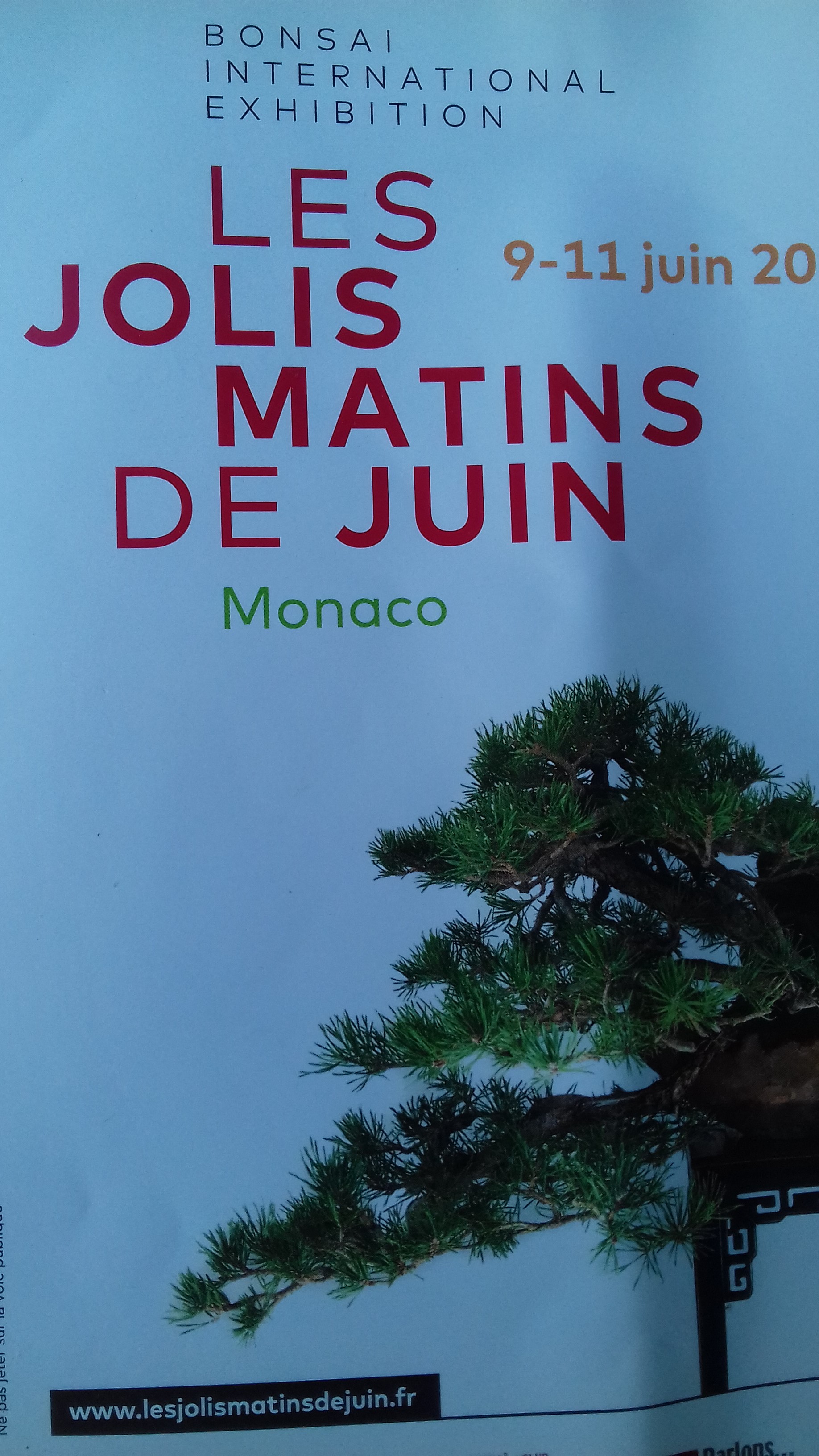 Le mie piante a Monaco | nihon bonsai